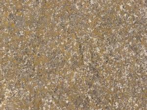lichen textures - Texturelib
