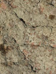 lichen textures - Texturelib