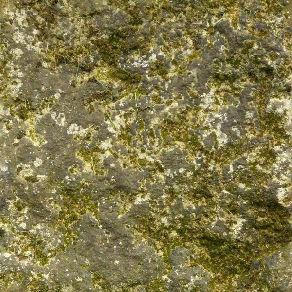 moss texture 0001 - Texturelib