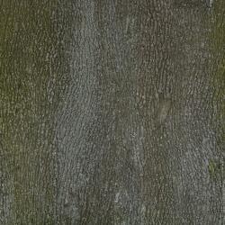 trunk textures - Texturelib