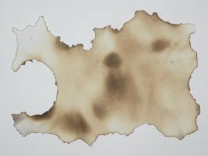 paper textures - Texturelib