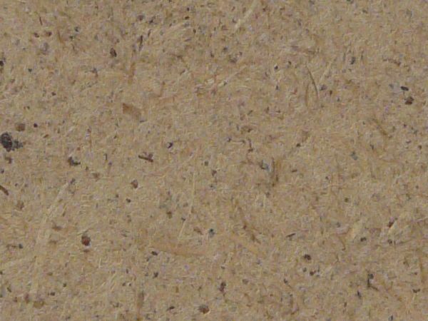 paper texture 0025 - Texturelib