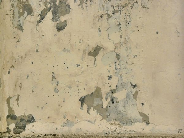 texture 0003 - Texturelib