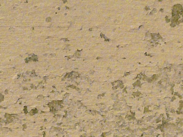 texture 0004 - Texturelib
