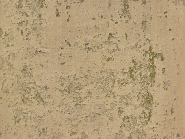 texture 0004 - Texturelib