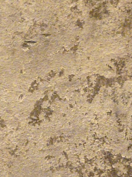 texture 0005 - Texturelib