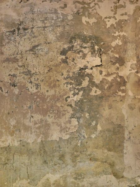 texture 0010 - Texturelib