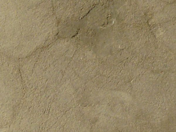 texture 0012 - Texturelib