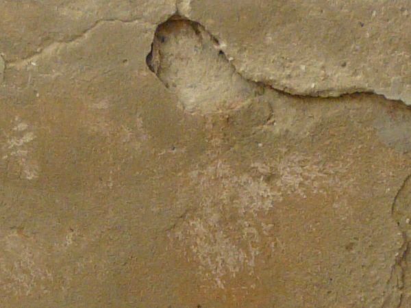 texture 0016 - Texturelib