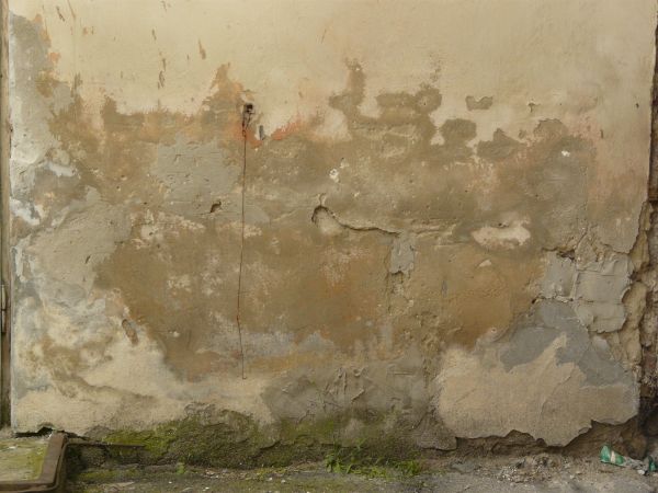 texture 0016 - Texturelib