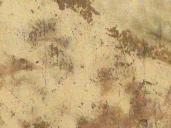 texture 0017 - Texturelib