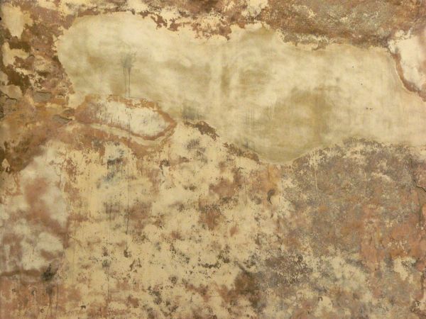 texture 0017 - Texturelib