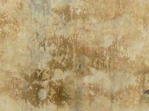 texture 0021 - Texturelib