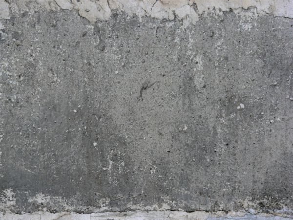 texture 0024 - Texturelib