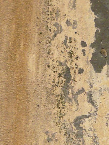 texture 0039 - Texturelib