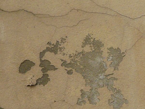 texture 0040 - Texturelib