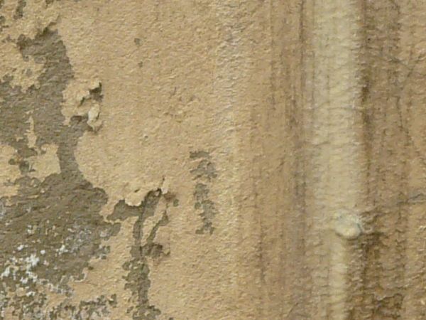 texture 0041 - Texturelib