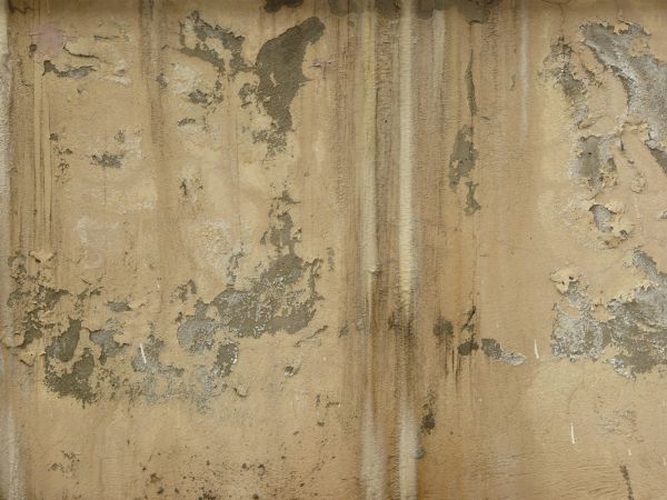 texture 0041 - Texturelib