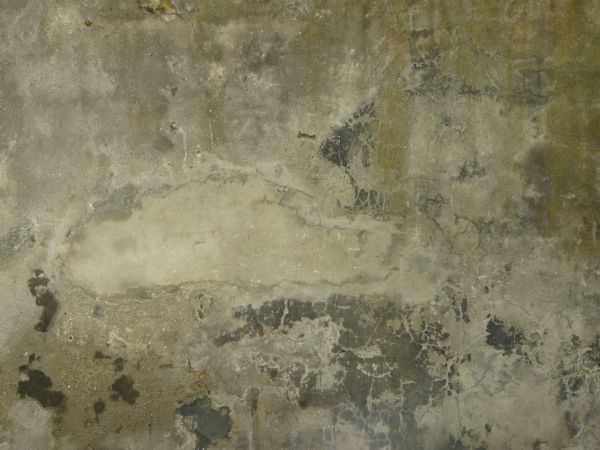 texture 0054 - Texturelib