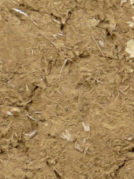 texture 0062 - Texturelib