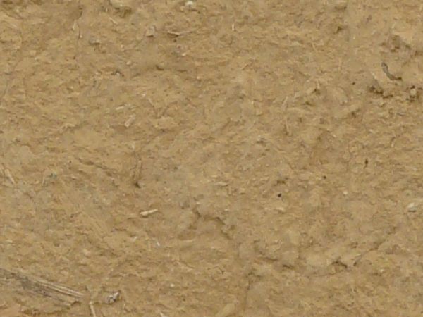 texture 0062 - Texturelib