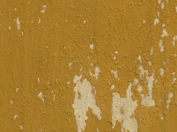 texture 0067 - Texturelib