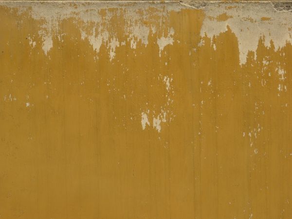 texture 0067 - Texturelib