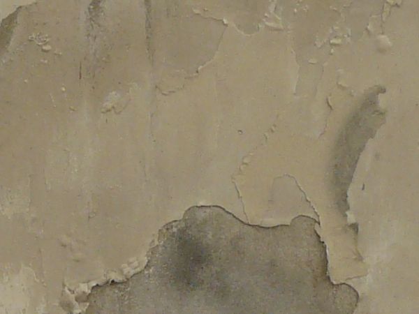 texture 0073 - Texturelib