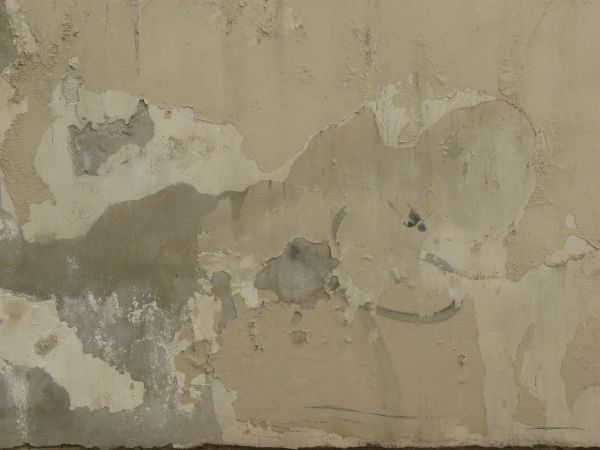 texture 0073 - Texturelib