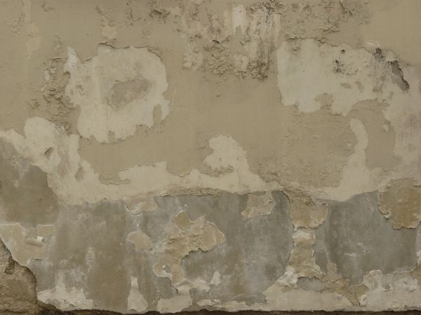 texture 0073 - Texturelib