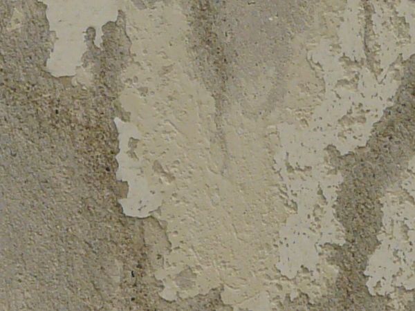 texture 0074 - Texturelib