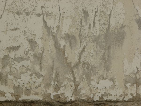 texture 0074 - Texturelib