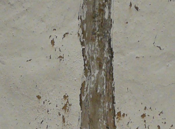 texture 0077 - Texturelib