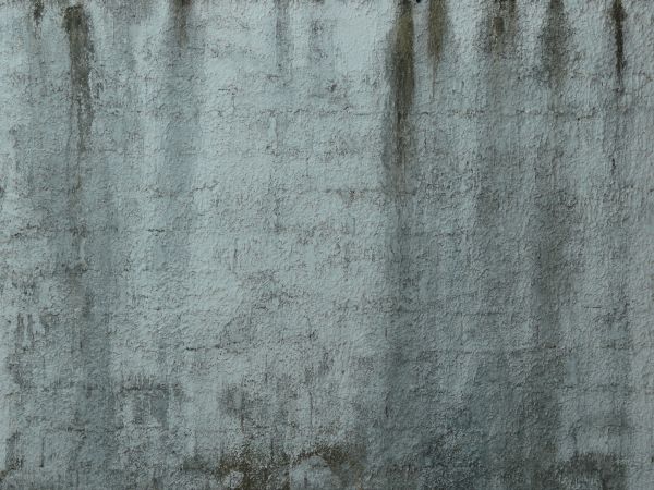 texture 0097 - Texturelib