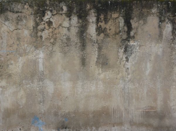 texture 0107 - Texturelib