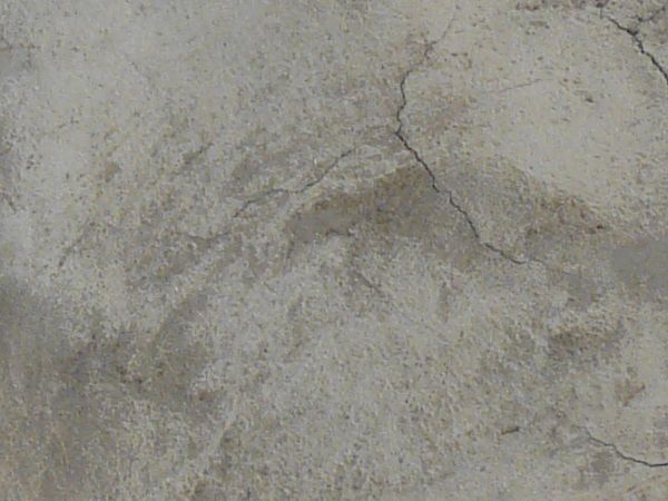 texture 0119 - Texturelib