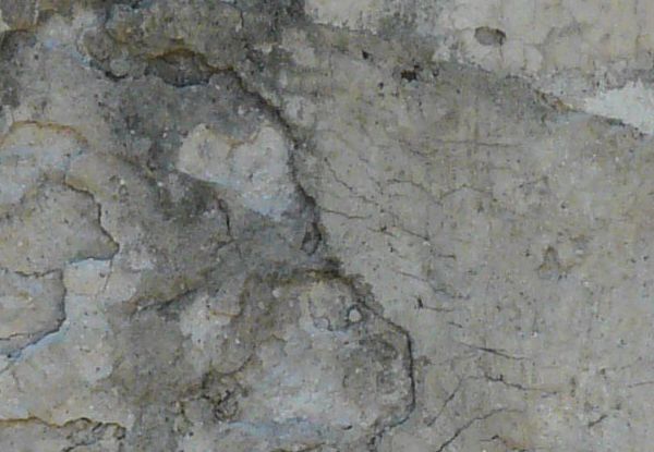 texture 0001 - Texturelib