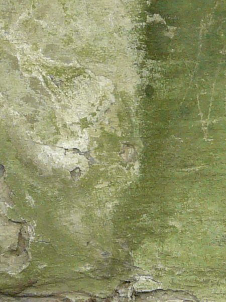 texture 0019 - Texturelib