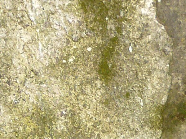 texture 0021 - Texturelib