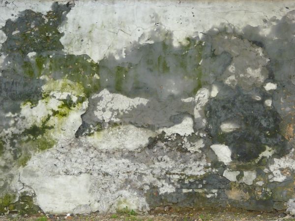 texture 0022 - Texturelib