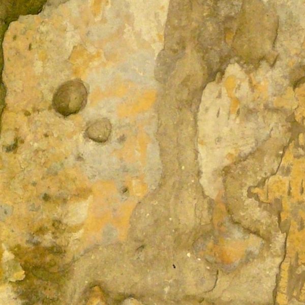 texture 0024 - Texturelib