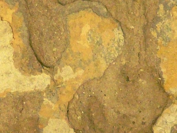 texture 0024 - Texturelib