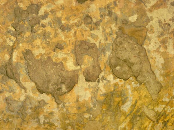 texture 0024 - Texturelib