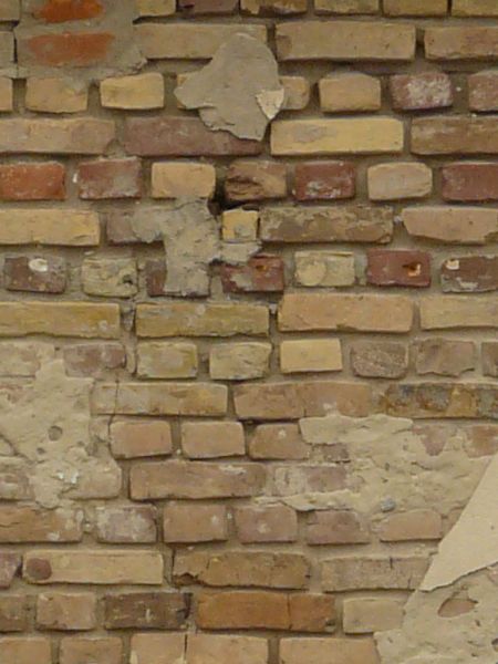 texture 0049 - Texturelib