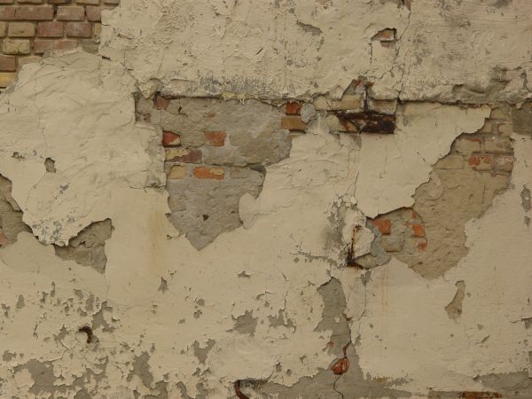 texture 0050 - Texturelib