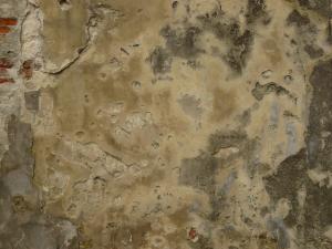 Free textures - Texturelib