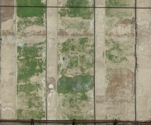 Free textures - Texturelib