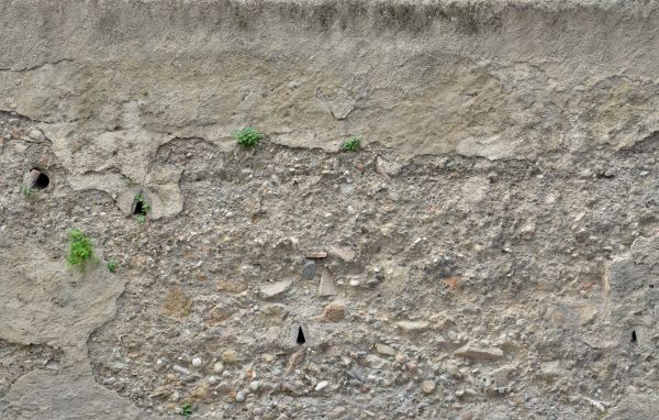 texture 0110 - Texturelib