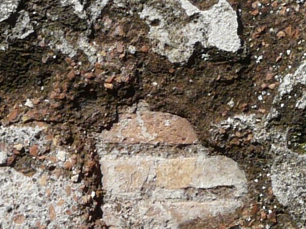 texture 0111 - Texturelib