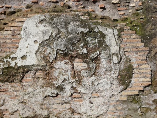 texture 0111 - Texturelib